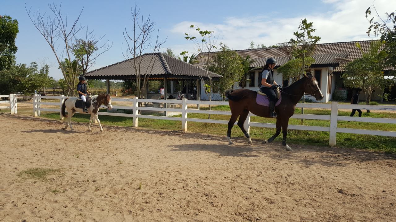 Horse Riding Courses in Thailand - Horse Riding - Fishing Park in Udon ...